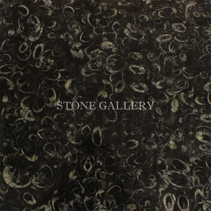 BLACK FOSSIL MARBLE - Stone gallery.